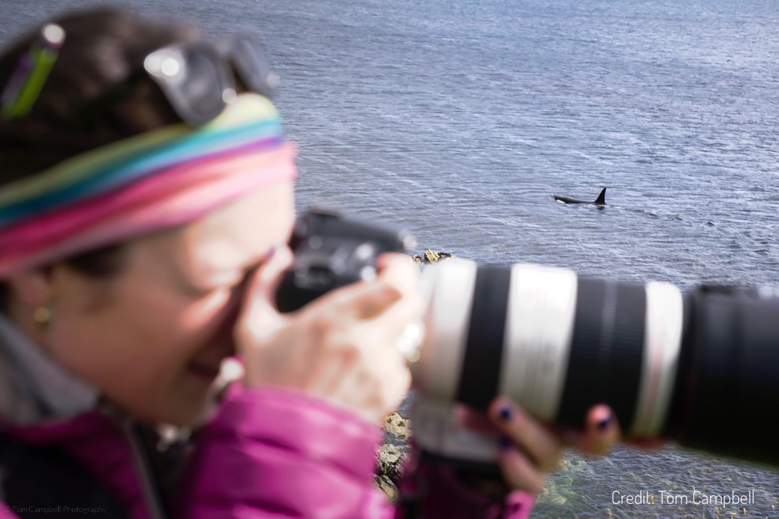 Dr Julia Sutherland PhD thesis now available – ECOPredS project